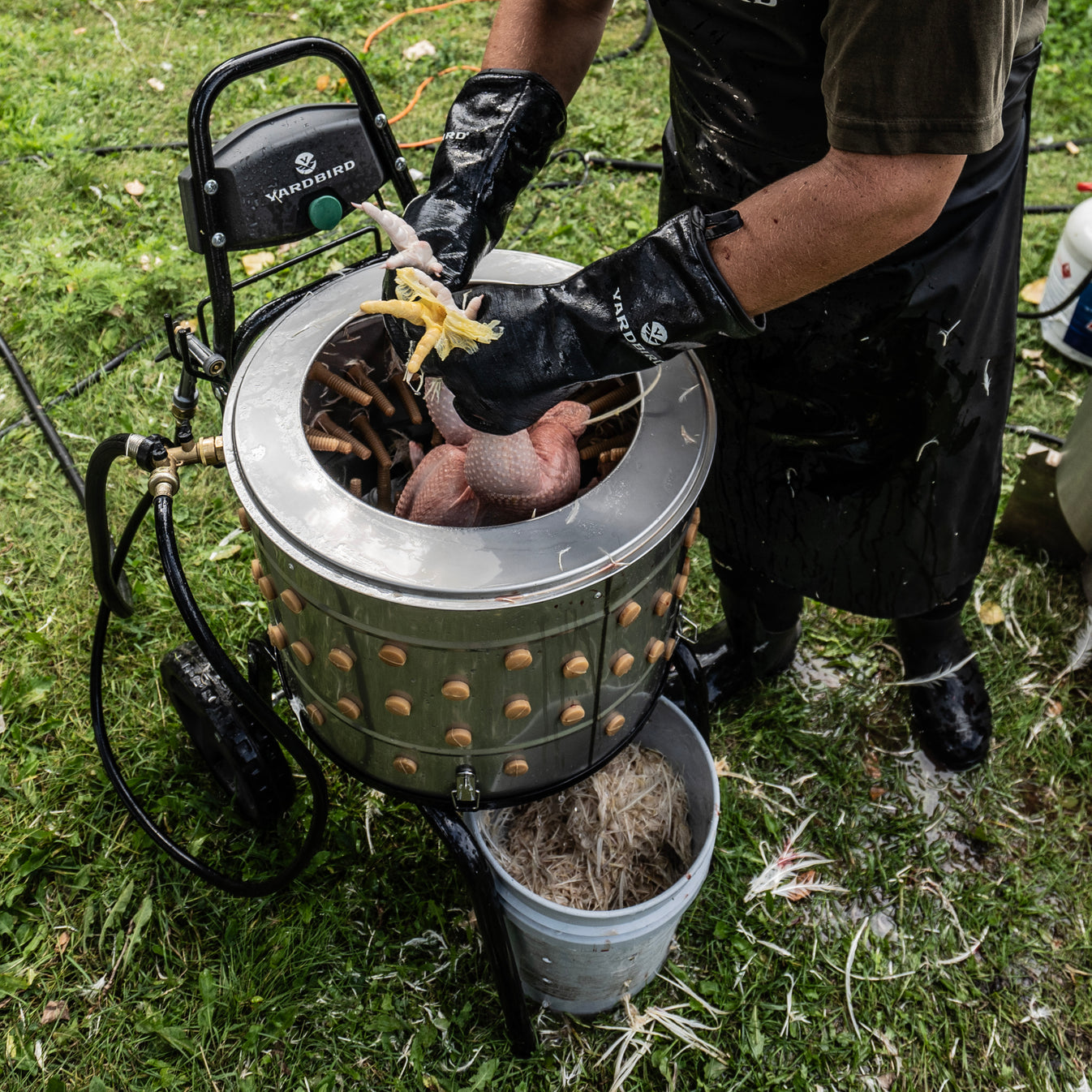 Chicken Plucker – Yardbird