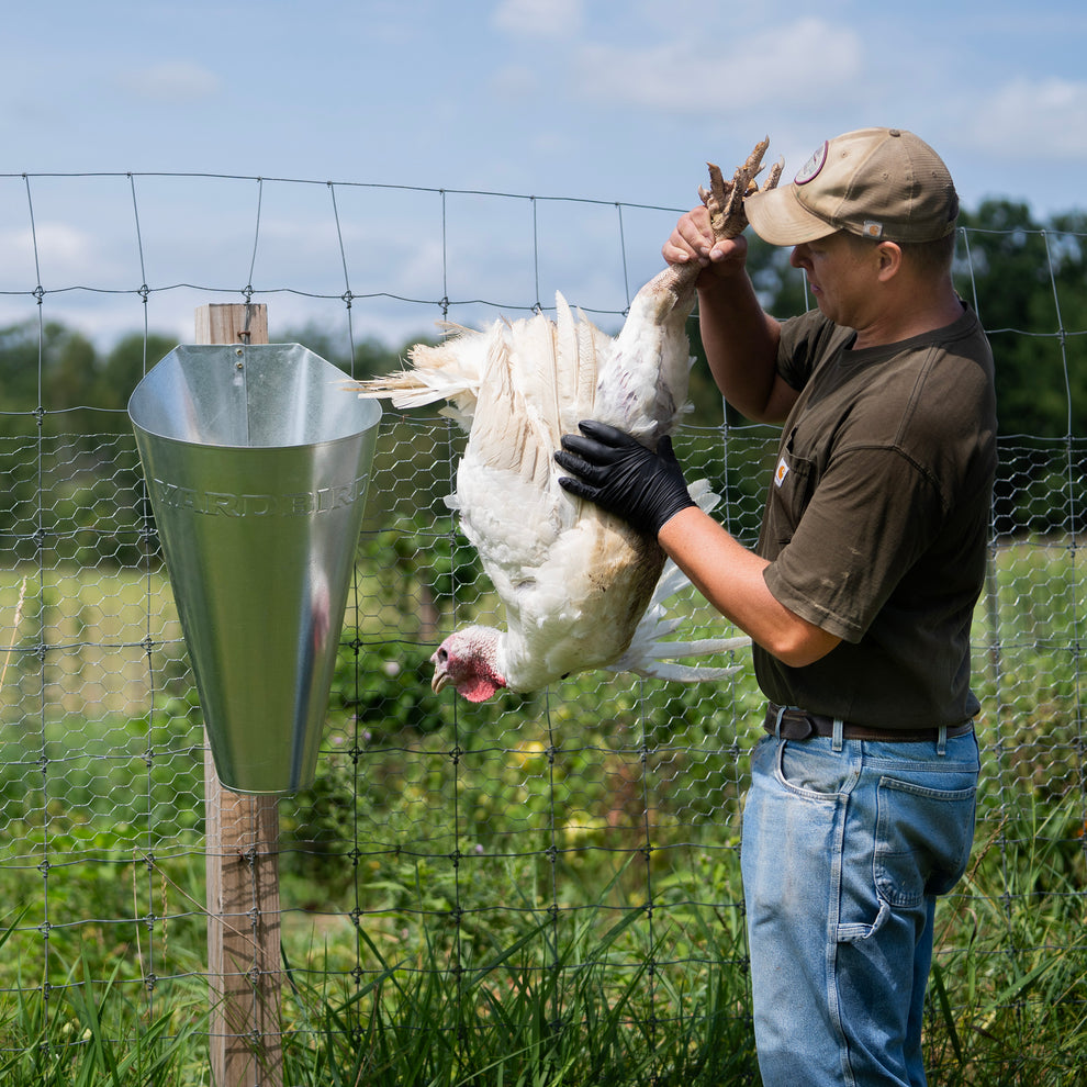 Heavy-Duty Galvanized Steel Restraining Cone – Yardbird